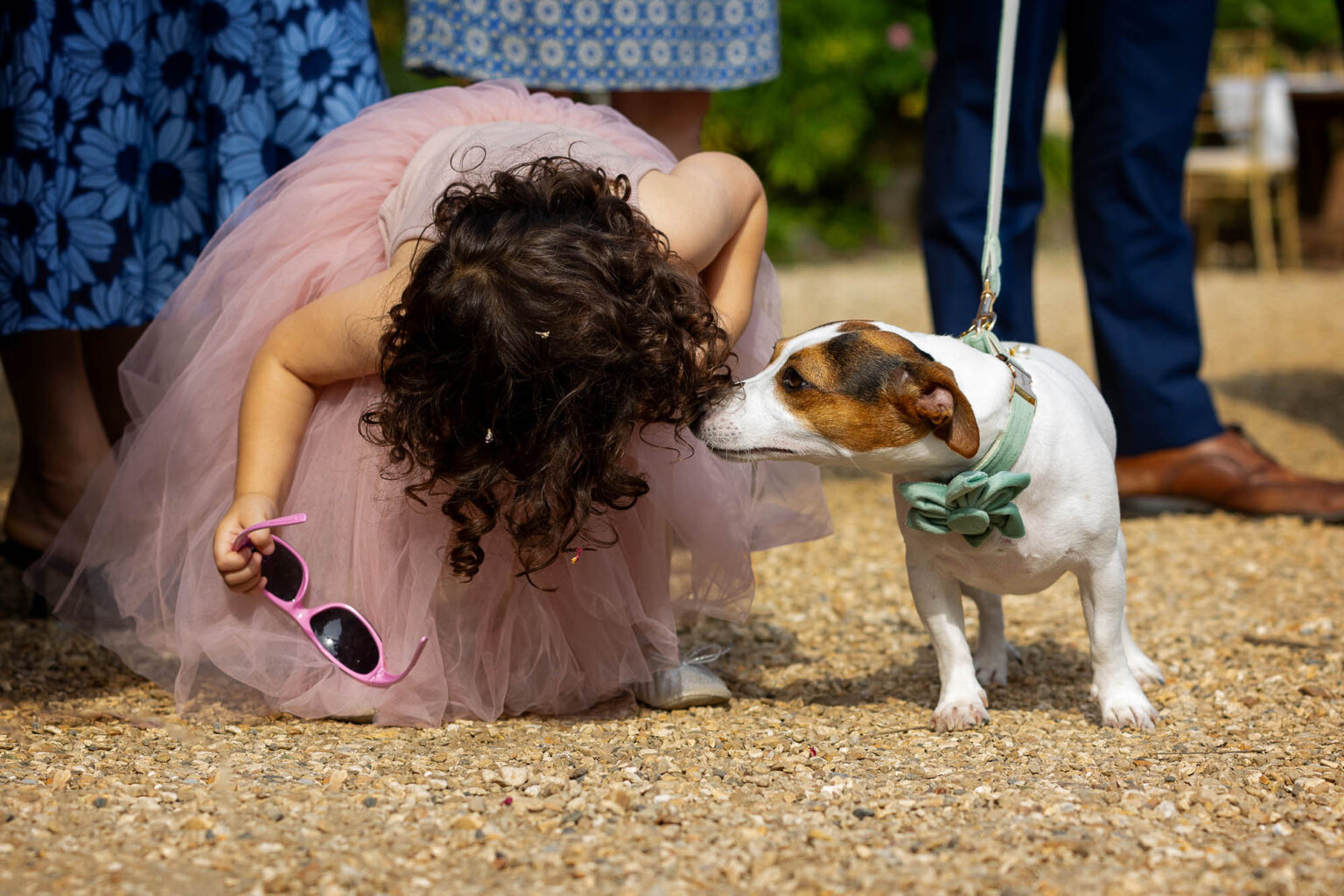All the amazing colours for Holly & Nat's colourful Brympton wedding ...