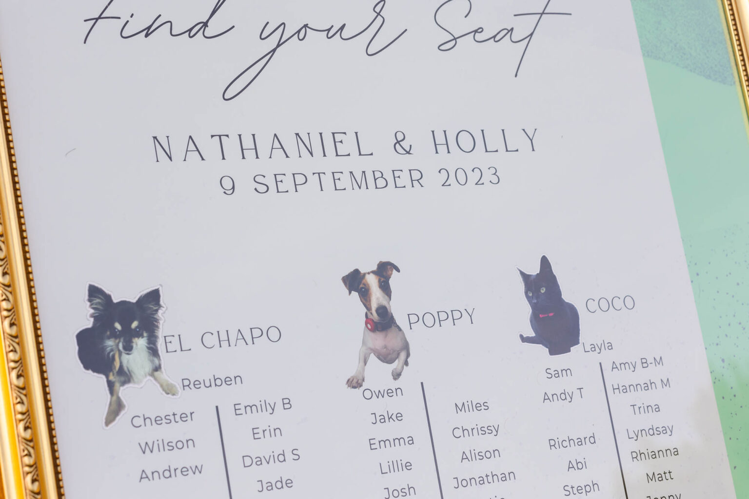 All the amazing colours for Holly & Nat's colourful Brympton wedding ...