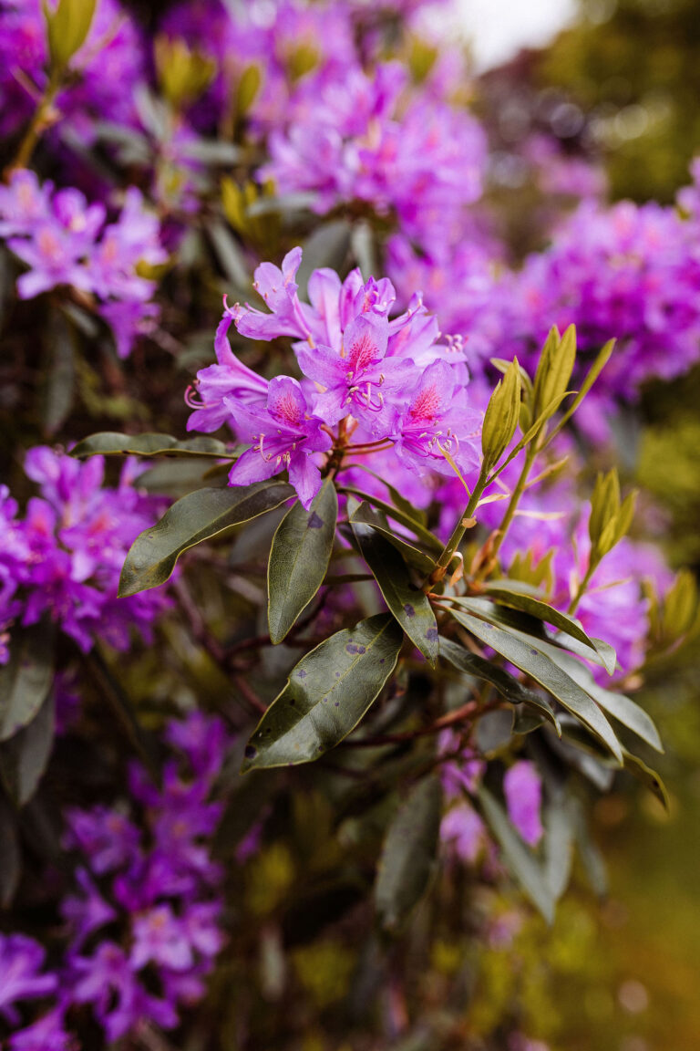 A secret wedding, full of heart, for Kian and Tony. With Mark Battista ...